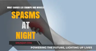 Understanding Left Arm Muscle Spasms: Causes And Triggers Explained ...