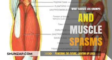 Understanding Left Arm Muscle Spasms: Causes And Triggers Explained ...