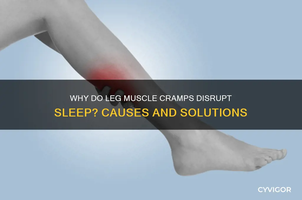 Why Do Leg Muscle Cramps Disrupt Sleep? Causes And Solutions | CyVigor