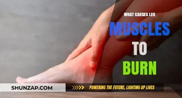 Why Leg Muscles Stop Functioning: Causes And Solutions Explained | CyVigor
