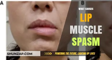 Understanding Lock Jaw And Muscle Spasms: Causes And Triggers | CyVigor