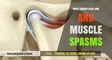 Understanding Lip Muscle Spasms: Causes, Triggers, And Treatment ...