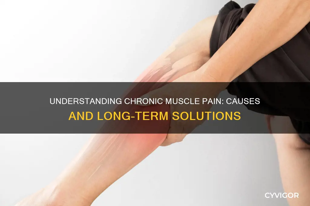Understanding Chronic Muscle Pain: Causes And Long-Term Solutions | CyVigor