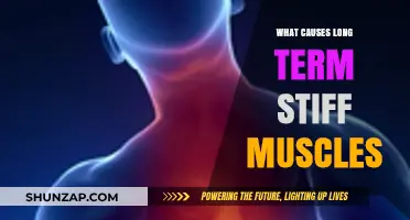 Understanding Chronic Back Muscle Spasms: Causes And Long-Term Triggers ...