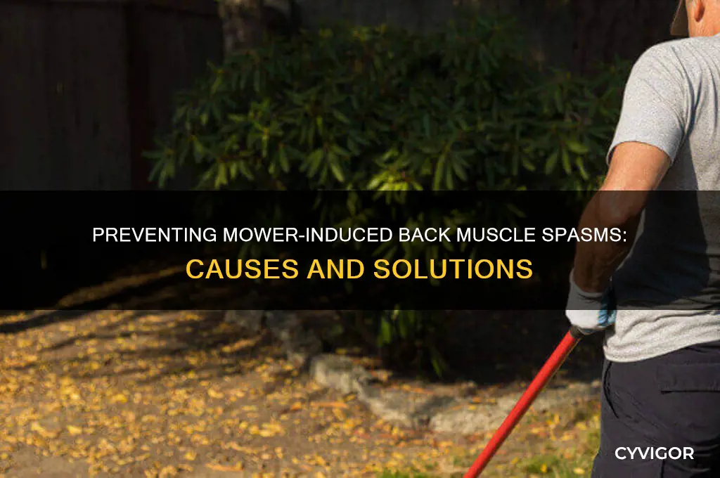 Preventing Mower-Induced Back Muscle Spasms: Causes And Solutions | CyVigor