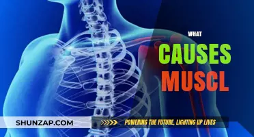 Understanding Middle Back Muscle Spasms: Common Causes And Triggers ...