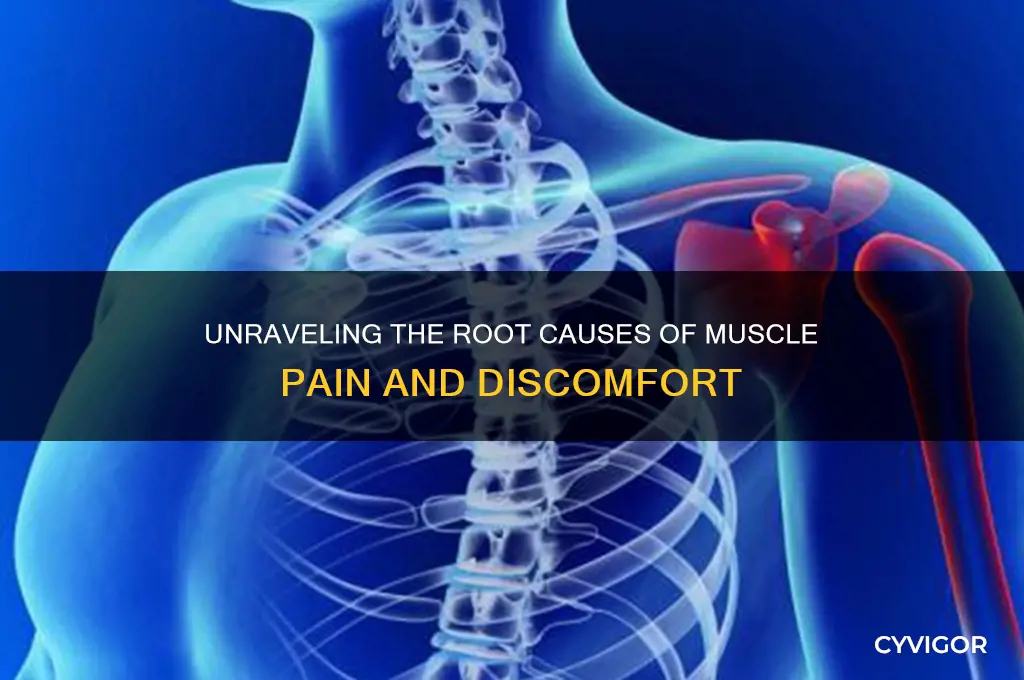 Unraveling The Root Causes Of Muscle Pain And Discomfort | CyVigor