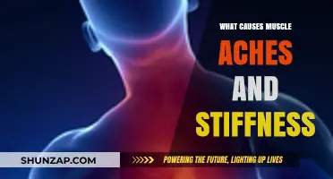 Understanding Muscle Aches, Fatigue, And Joint Pain: Common Causes ...