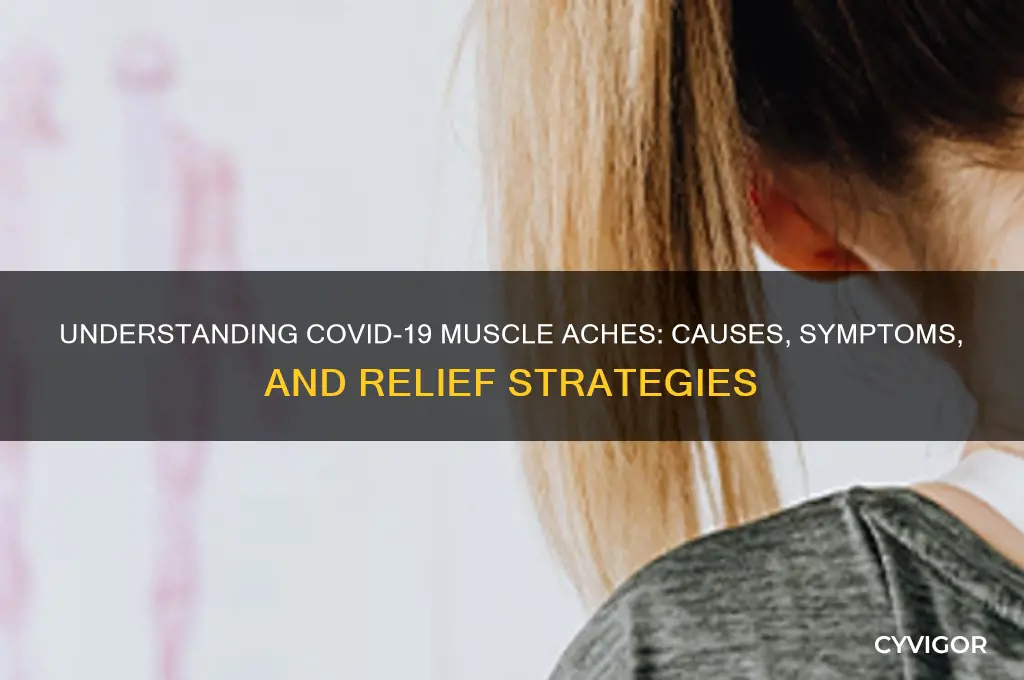 Understanding Covid-19 Muscle Aches: Causes, Symptoms, And Relief ...
