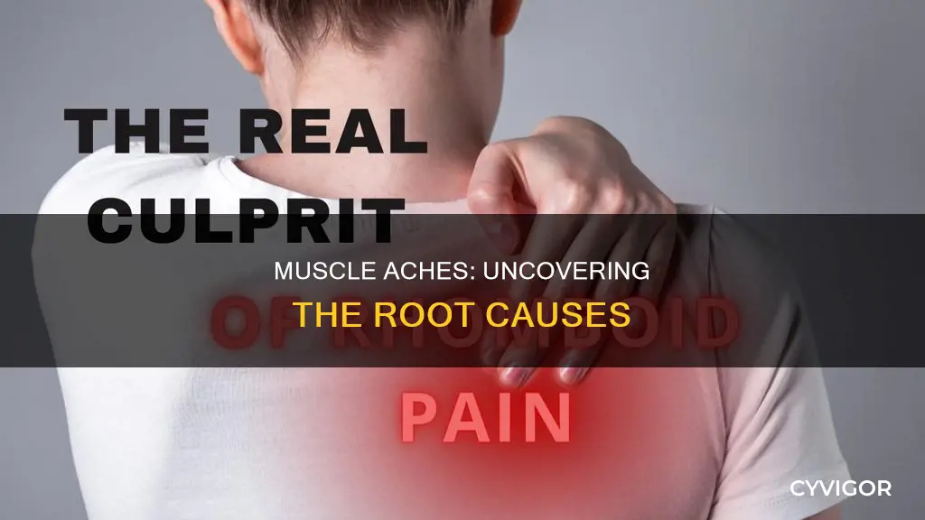 Muscle Aches: Uncovering The Root Causes | CyVigor