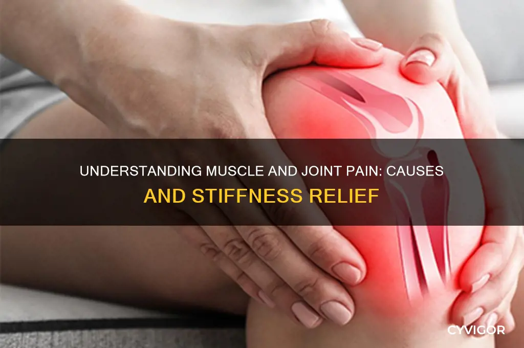 Understanding Muscle And Joint Pain: Causes And Stiffness Relief | CyVigor