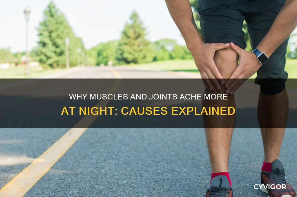 Why Muscles And Joints Ache More At Night: Causes Explained | CyVigor