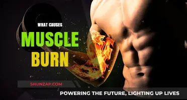 Why Muscles Produce Lactic Acid During Intense Exercise Explained | CyVigor