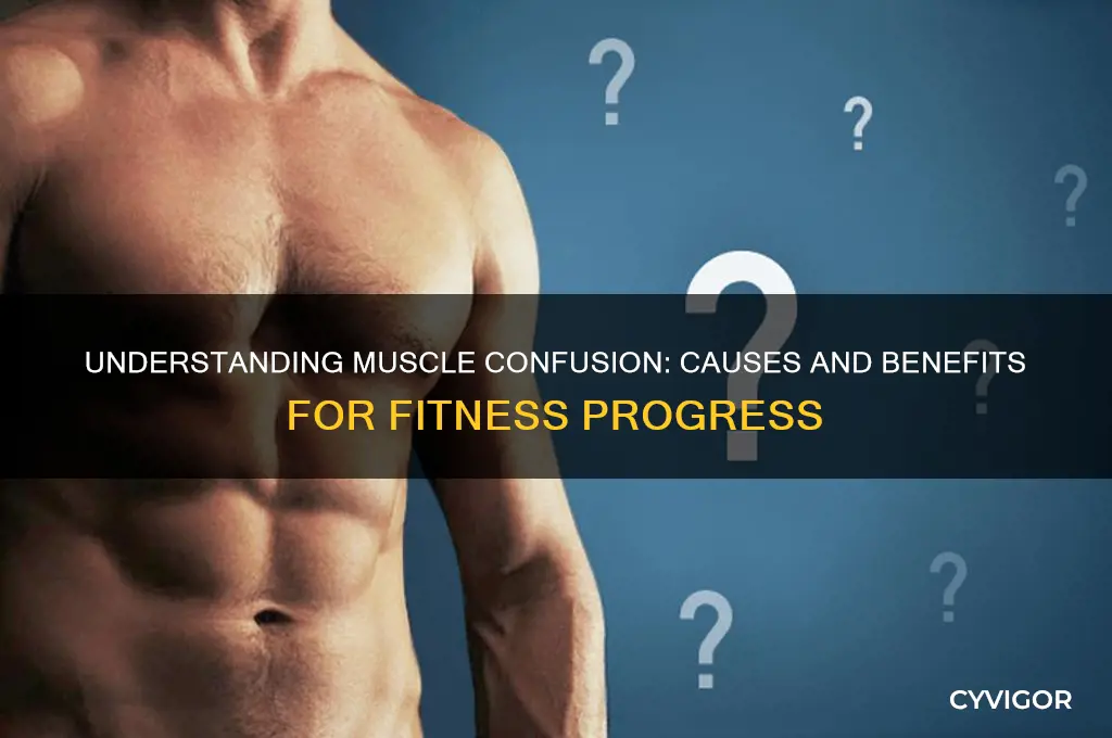 Understanding Muscle Confusion: Causes And Benefits For Fitness ...