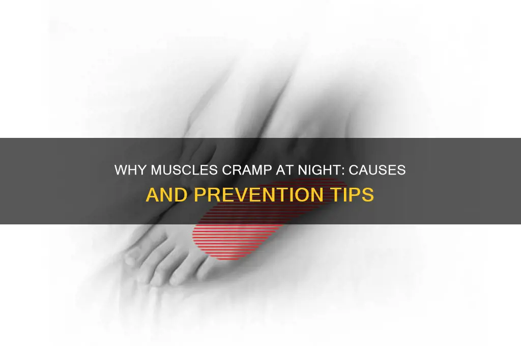 Why Muscles Cramp At Night: Causes And Prevention Tips | CyVigor