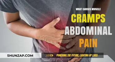 Understanding The Causes Of Under-Chin Muscle Cramps: A Comprehensive ...