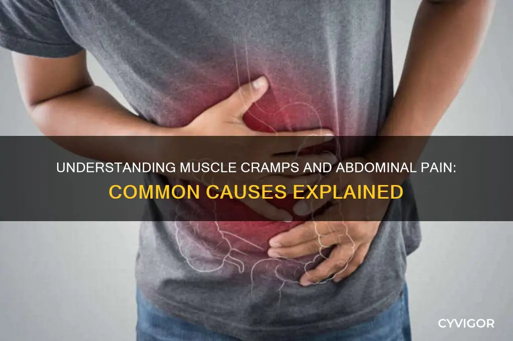 Understanding Muscle Cramps And Abdominal Pain: Common Causes Explained ...