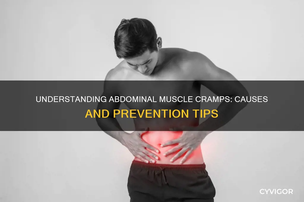 Understanding Abdominal Muscle Cramps: Causes And Prevention Tips | CyVigor