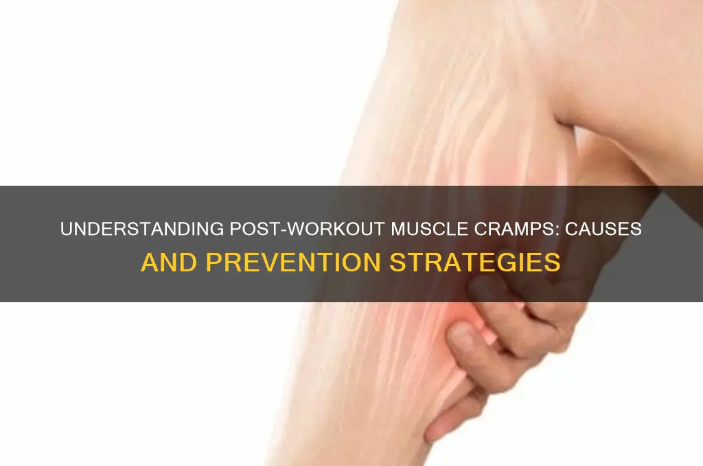 Understanding Post-Workout Muscle Cramps: Causes And Prevention ...