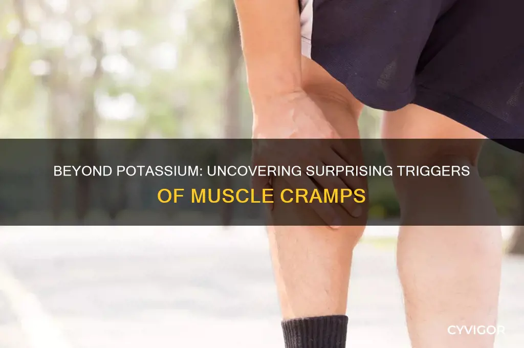 Beyond Potassium: Uncovering Surprising Triggers Of Muscle Cramps | CyVigor