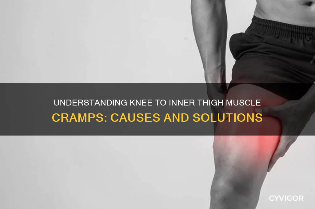 Understanding Knee To Inner Thigh Muscle Cramps: Causes And Solutions ...