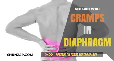 Understanding Lower Abdominal Muscle Cramps: Causes And Triggers ...