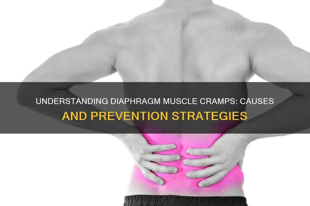 Understanding Diaphragm Muscle Cramps: Causes And Prevention Strategies ...
