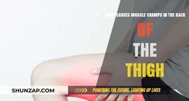 Understanding Quad Muscle Cramps: Causes And Prevention Strategies ...