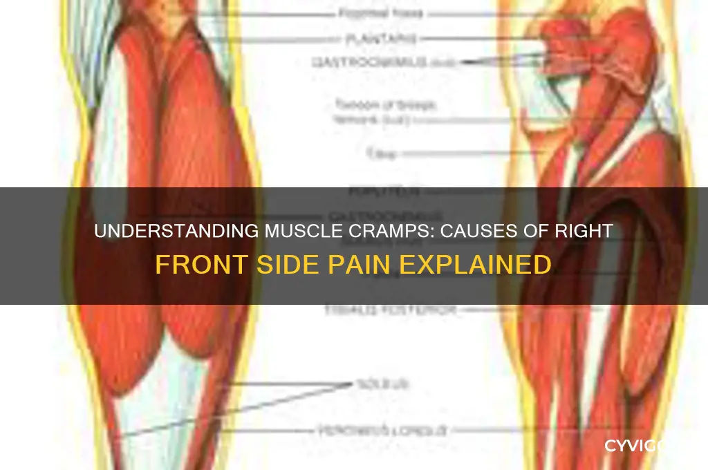 Understanding Muscle Cramps: Causes Of Right Front Side Pain Explained ...