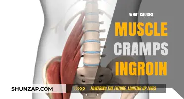 Understanding Hamstring Cramps: Causes And Prevention Strategies ...