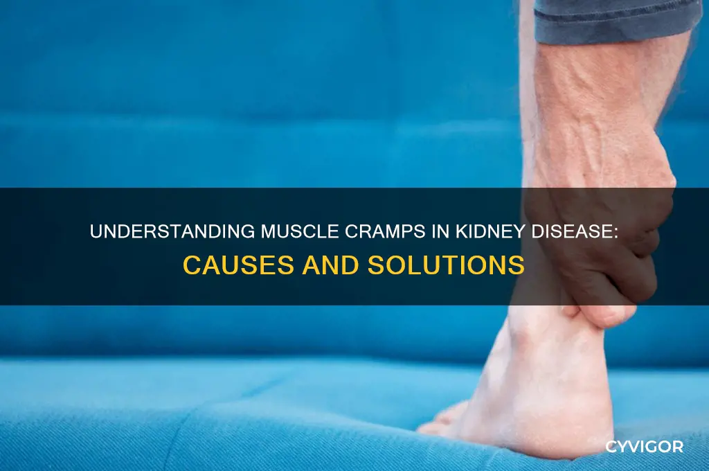 Understanding Muscle Cramps In Kidney Disease: Causes And Solutions ...