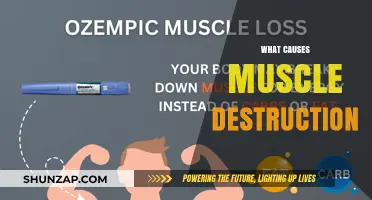 Understanding Muscle Deconditioning: Causes And Impact On Physical ...