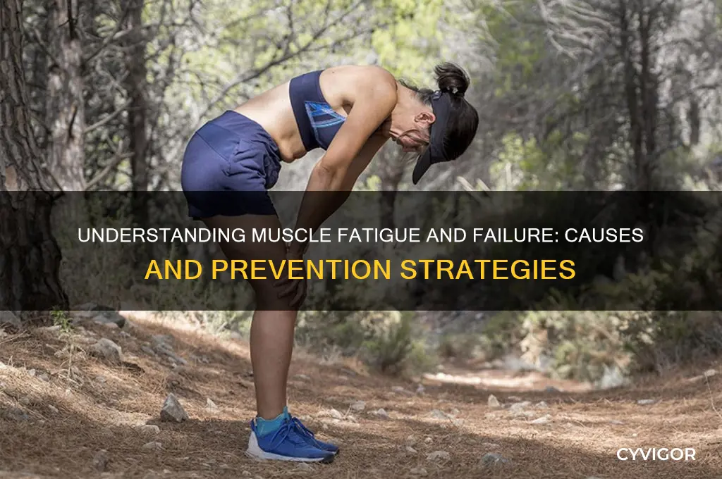 Understanding Muscle Fatigue And Failure: Causes And Prevention ...
