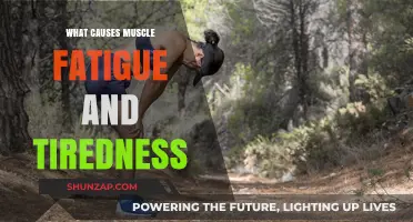 Understanding Muscle Fatigue: Anatomy, Causes, And Mechanisms Explained ...