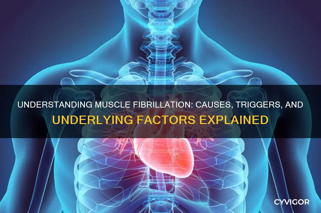 Understanding Muscle Fibrillation: Causes, Triggers, And Underlying ...