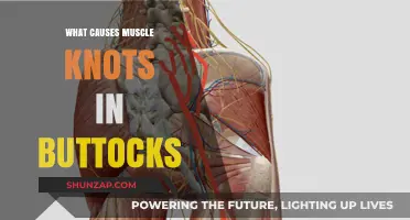 Understanding Stomach Muscle Knots: Causes And Relief Strategies ...