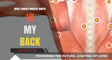 Muscle Inflammation: Understanding The Cause And Effect | CyVigor