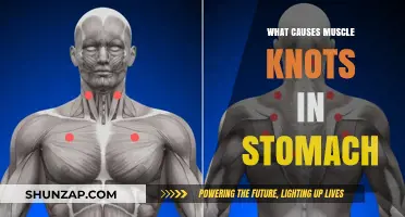 Understanding Arm Muscle Knots: Causes And Prevention Strategies | CyVigor