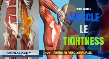Understanding Chest Muscle Knots: Causes, Triggers, And Prevention Tips ...