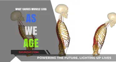 Understanding Muscle Loss In Buttocks: Causes And Prevention Strategies ...