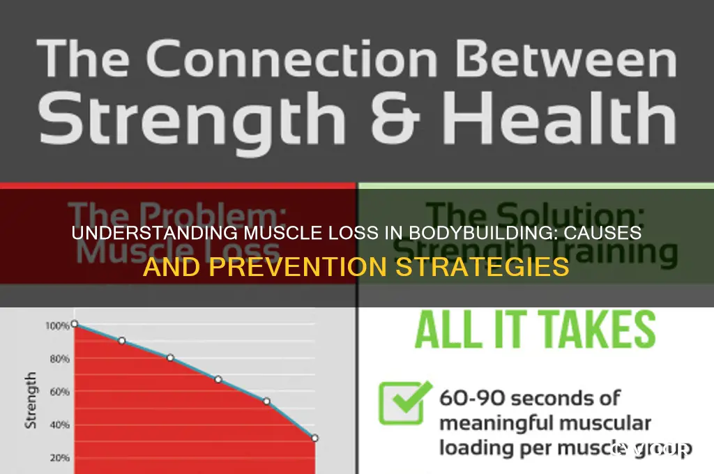 Understanding Muscle Loss In Bodybuilding: Causes And Prevention ...