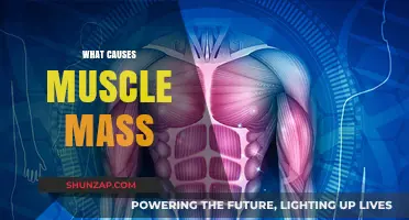 Understanding Post-Knee Replacement Muscle Pain: Causes And Relief ...