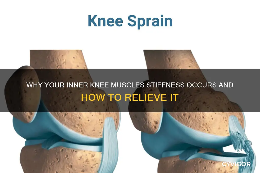 Why Your Inner Knee Muscles Stiffness Occurs And How To Relieve It ...