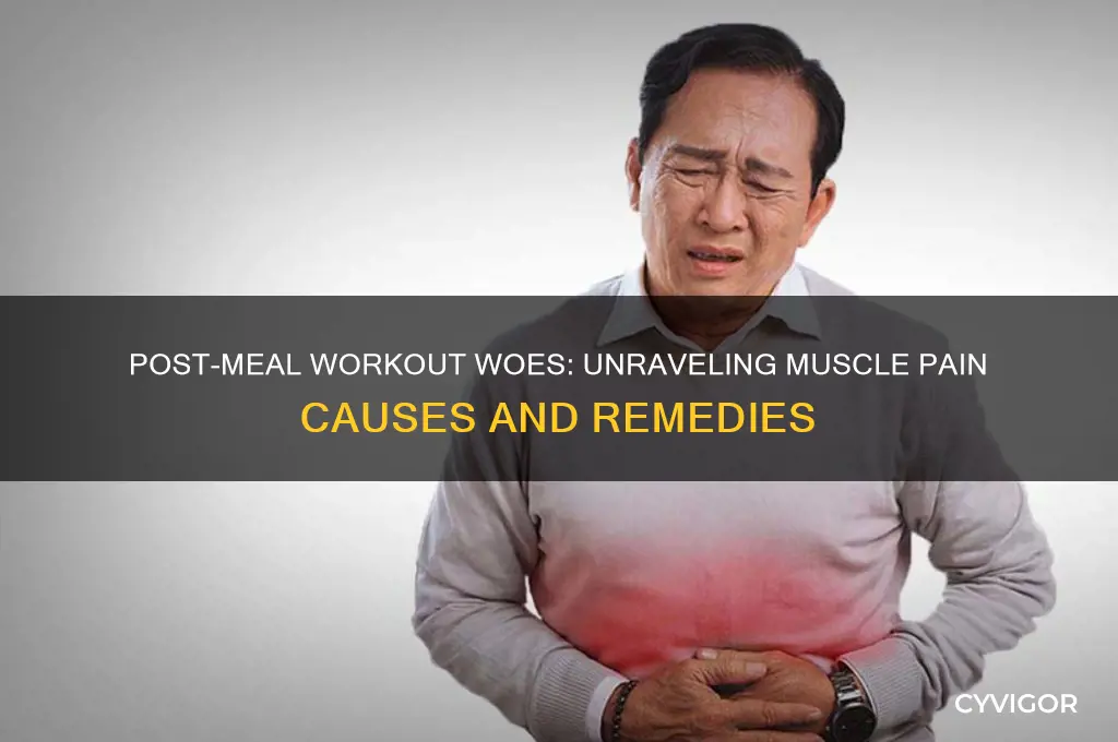 Post-Meal Workout Woes: Unraveling Muscle Pain Causes And Remedies ...
