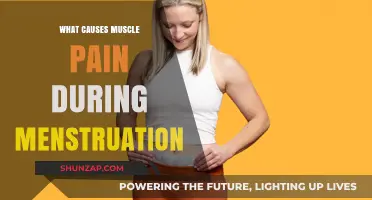 Understanding Trap Muscle Pain: Causes And Discomfort Explained | CyVigor