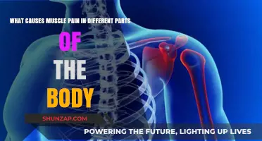 Understanding Causes Of Muscle Pain In Both Arms: A Comprehensive Guide ...