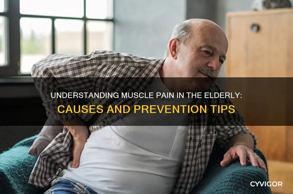 Understanding Muscle Pain In The Elderly: Causes And Prevention Tips ...