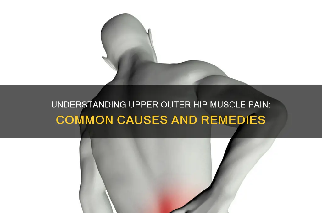 Understanding Upper Outer Hip Muscle Pain: Common Causes And Remedies ...