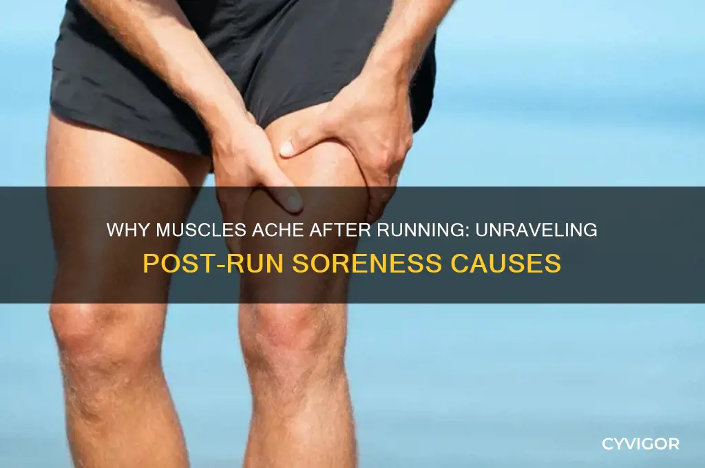 Why Muscles Ache After Running: Unraveling Post-Run Soreness Causes ...