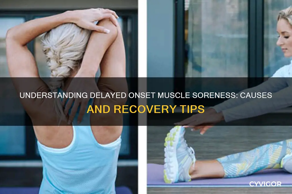 Understanding Delayed Onset Muscle Soreness: Causes And Recovery Tips ...